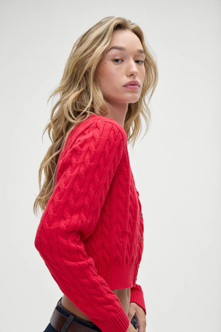 Heartstrings Dudley Cable Knit Cardigan – Wild Cactus Boutique